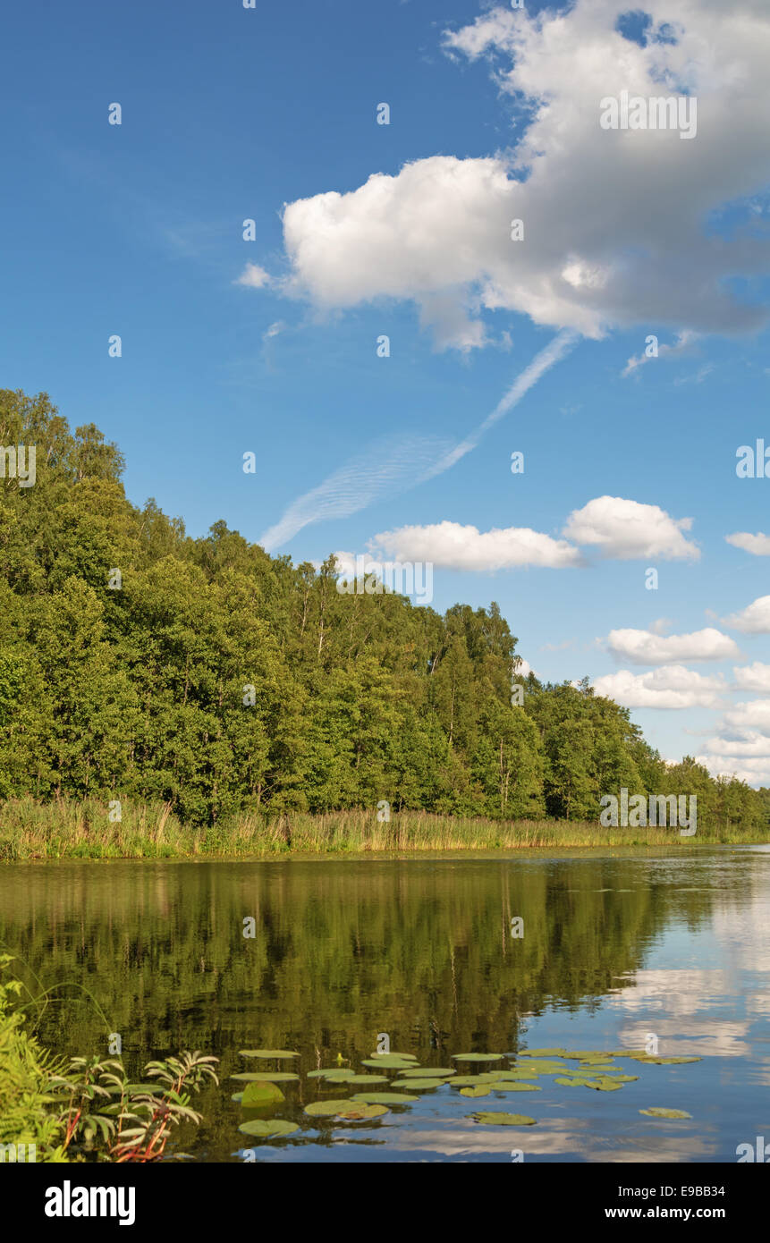 Summer lake landscape Stock Photo - Alamy