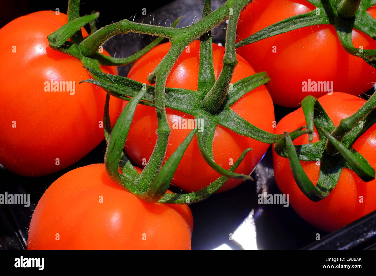 Juicy red tomatoes hi-res stock photography and images - Alamy