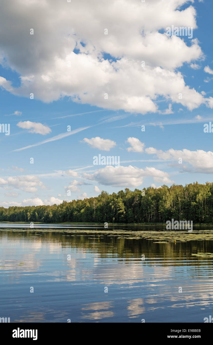 Summer lake landscape Stock Photo - Alamy