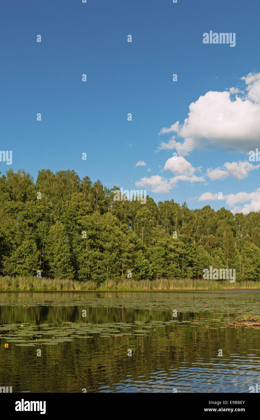 Summer lake landscape Stock Photo - Alamy
