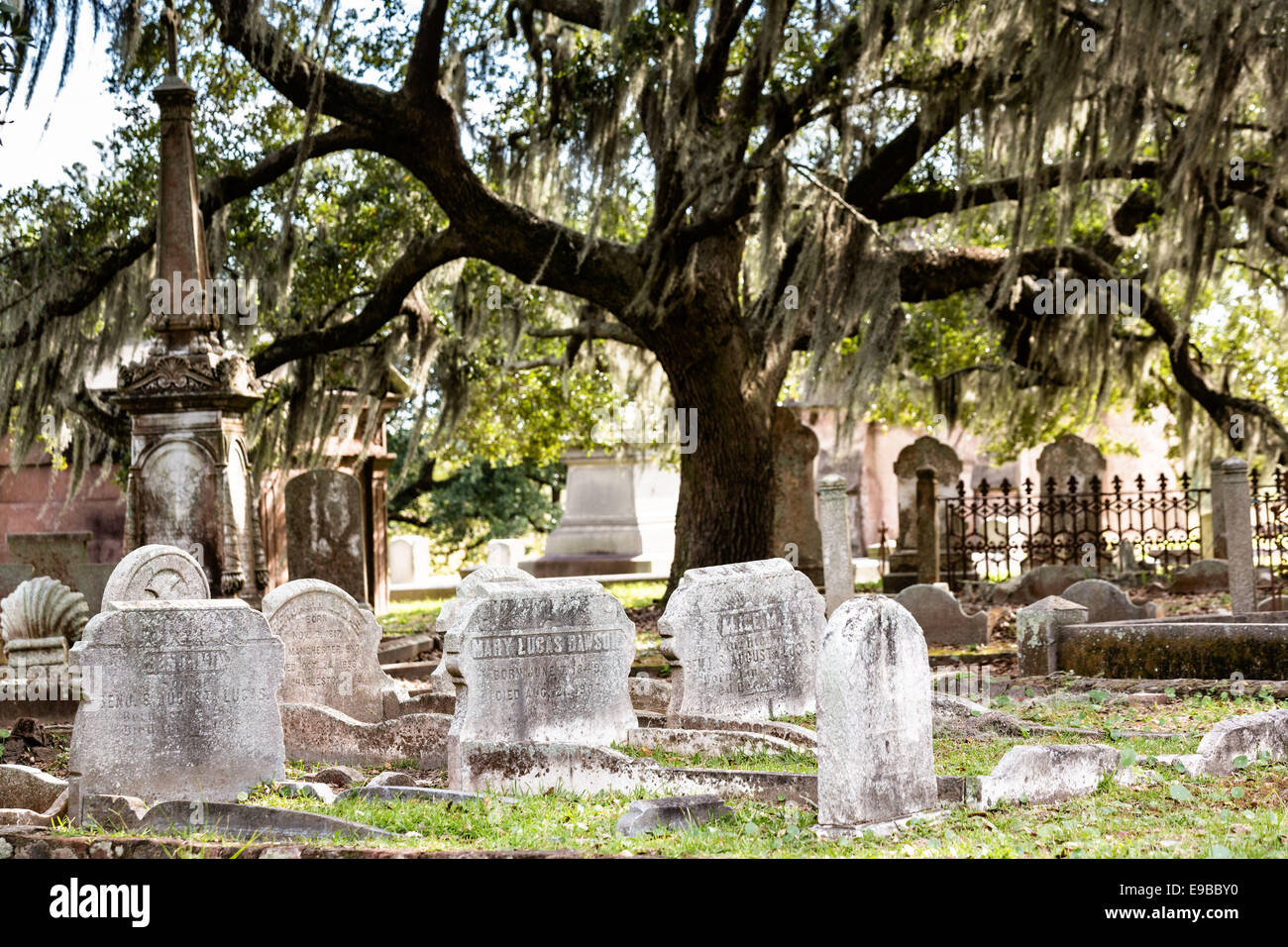 Magnolia cemetery hi-res stock photography and images - Alamy