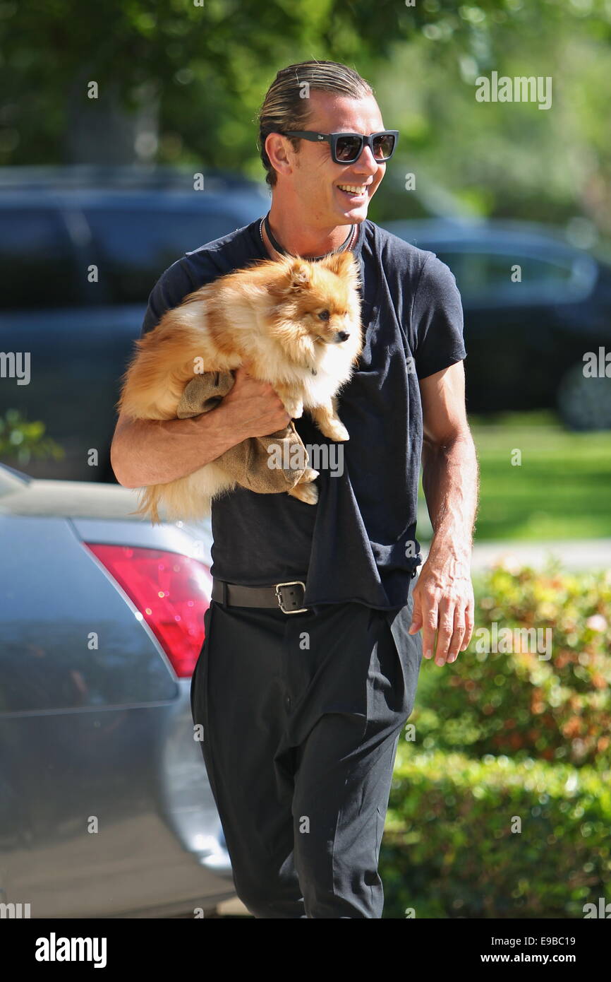 Gwen Stefani with her family and their pet Pomeranian dog called Chewy ...