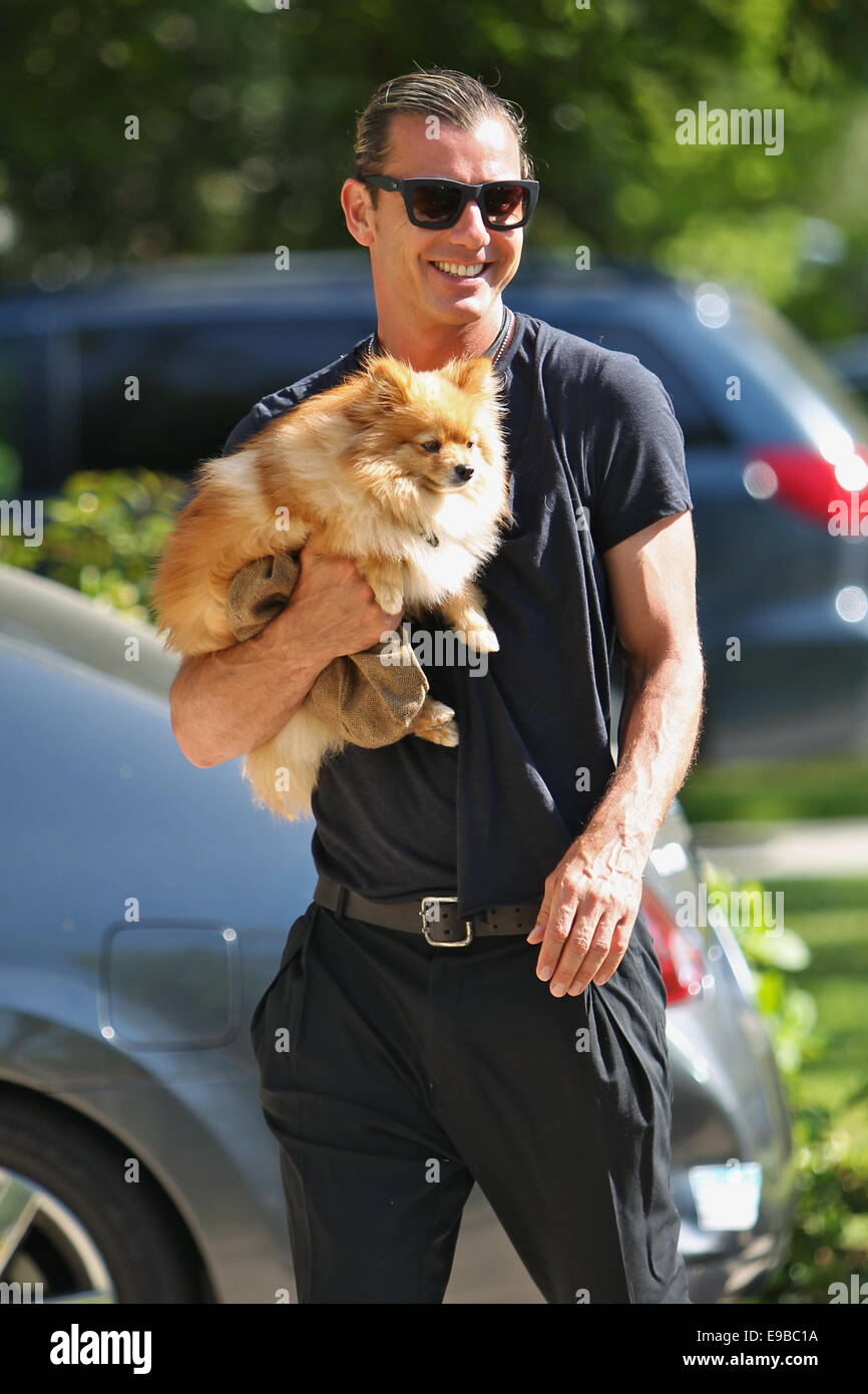 Gwen Stefani with her family and their pet Pomeranian dog called Chewy ...