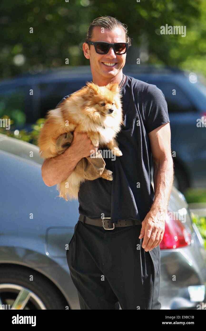 Gwen Stefani with her family and their pet Pomeranian dog called Chewy ...