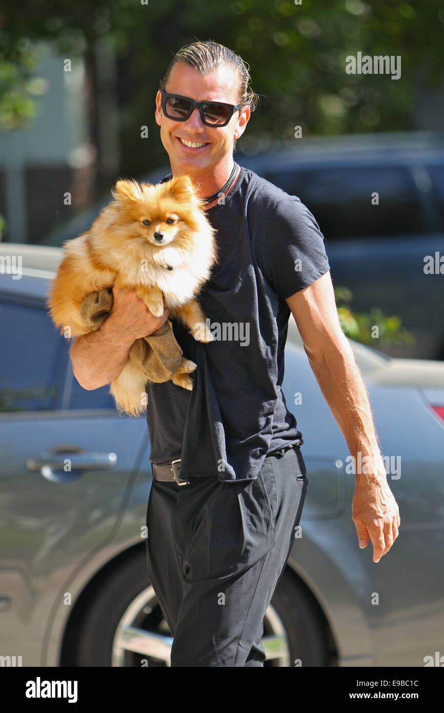 Gwen Stefani with her family and their pet Pomeranian dog called Chewy ...