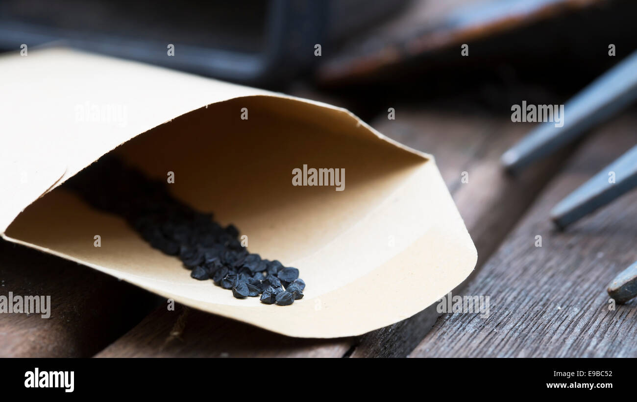 Packet of onion seeds ready for planting Stock Photo - Alamy