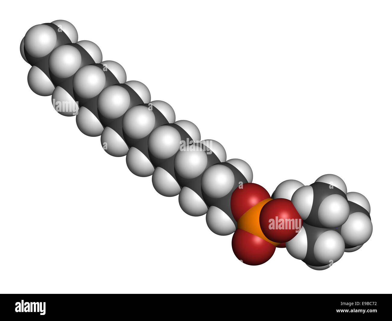 Miltefosine leishmaniasis drug molecule. Atoms are represented as ...