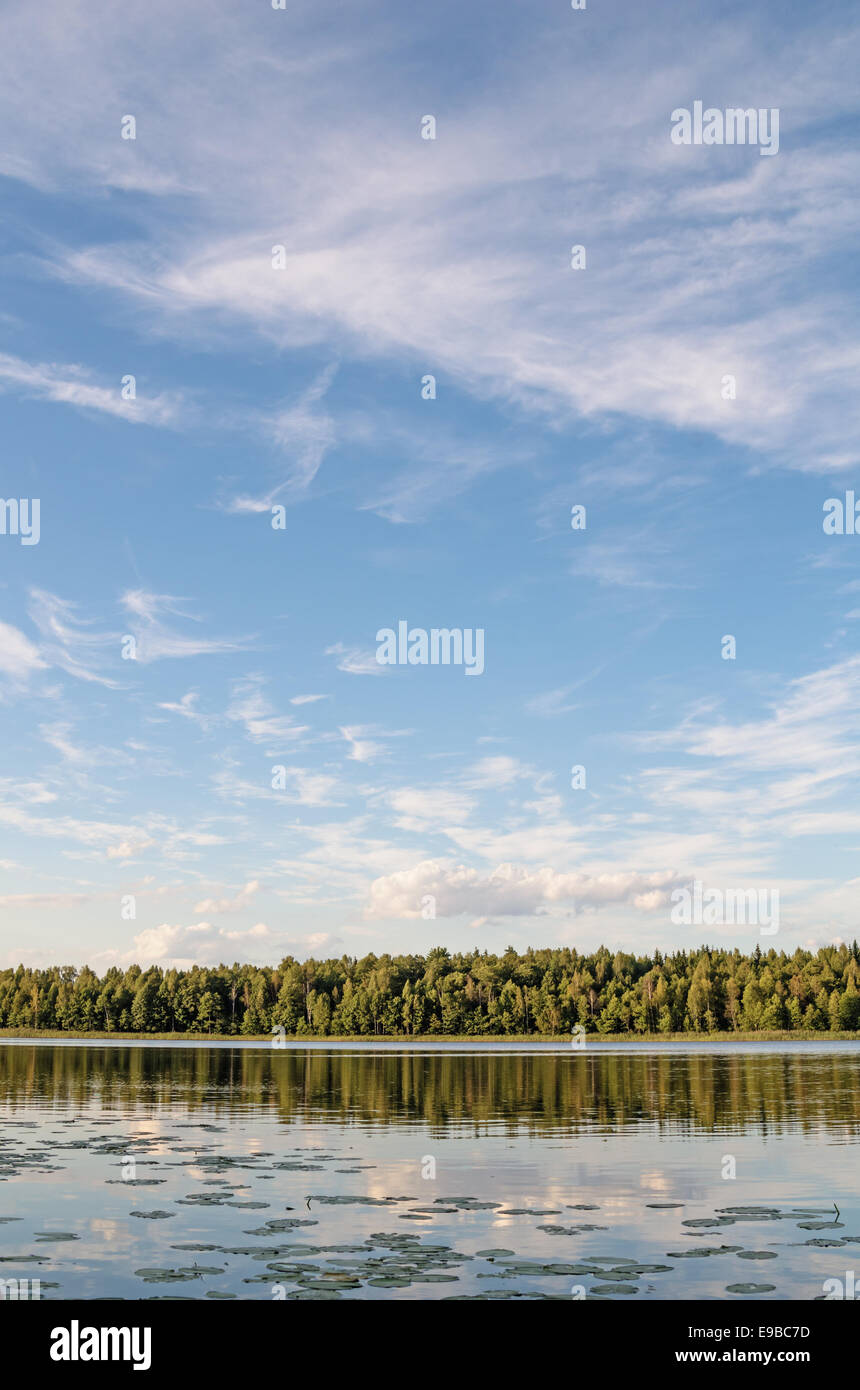 Summer lake landscape Stock Photo - Alamy