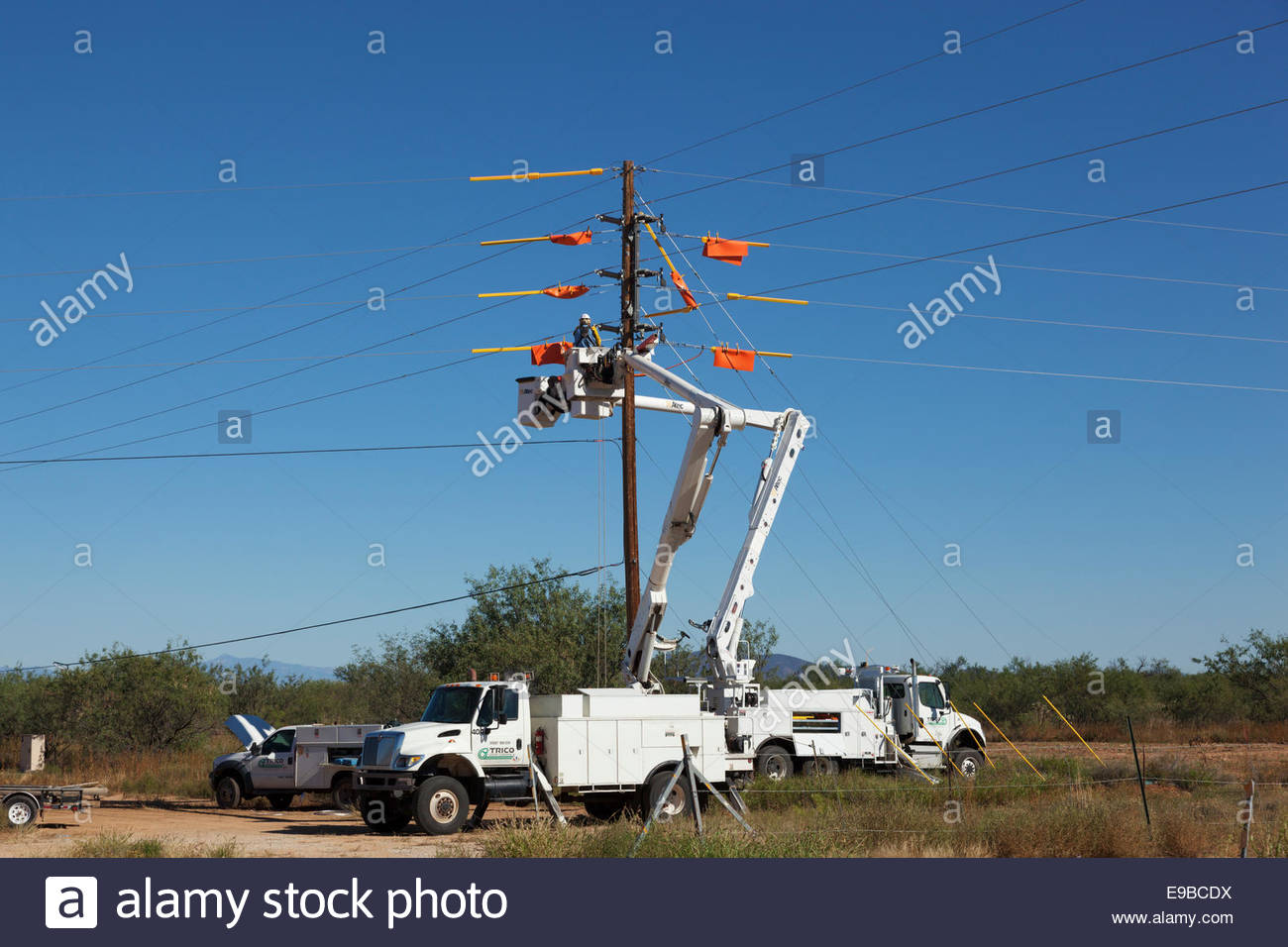 Bucket Truck Stock Photos & Bucket Truck Stock Images - Alamy