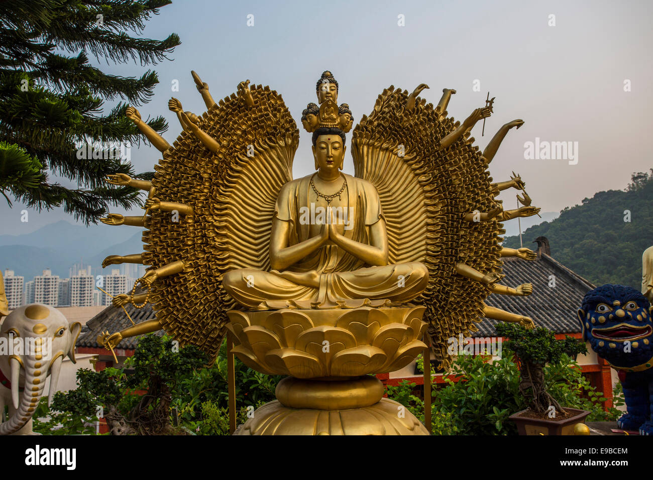000 buddhas temple buddha hi-res stock photography and images - Alamy