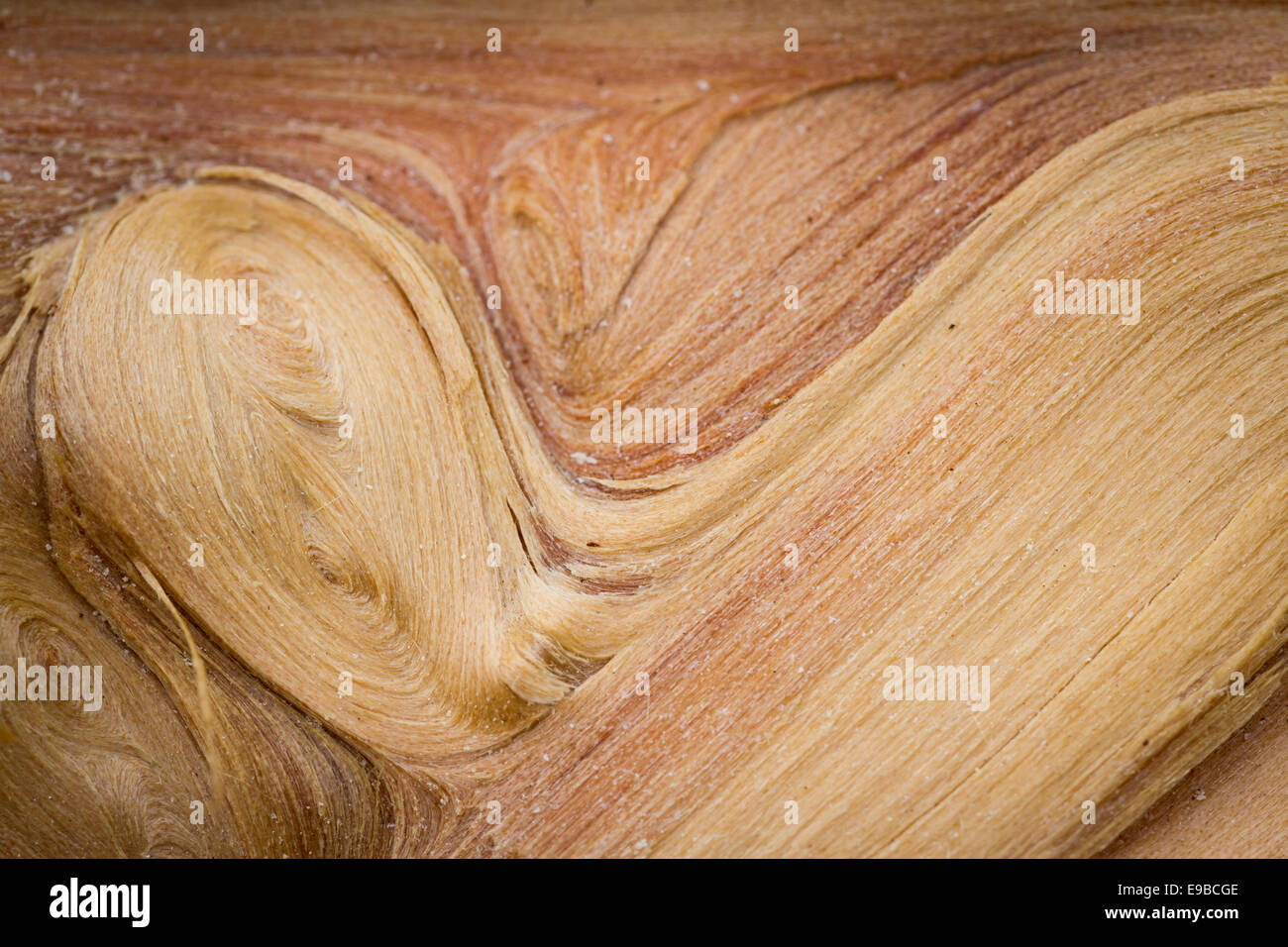 close up of the inside of a tree knot for an abstract background Stock ...