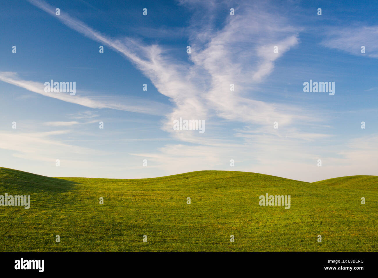 Misty morning on a empty golf course Stock Photo - Alamy