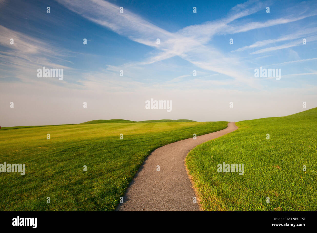 Misty morning on a empty golf course Stock Photo - Alamy