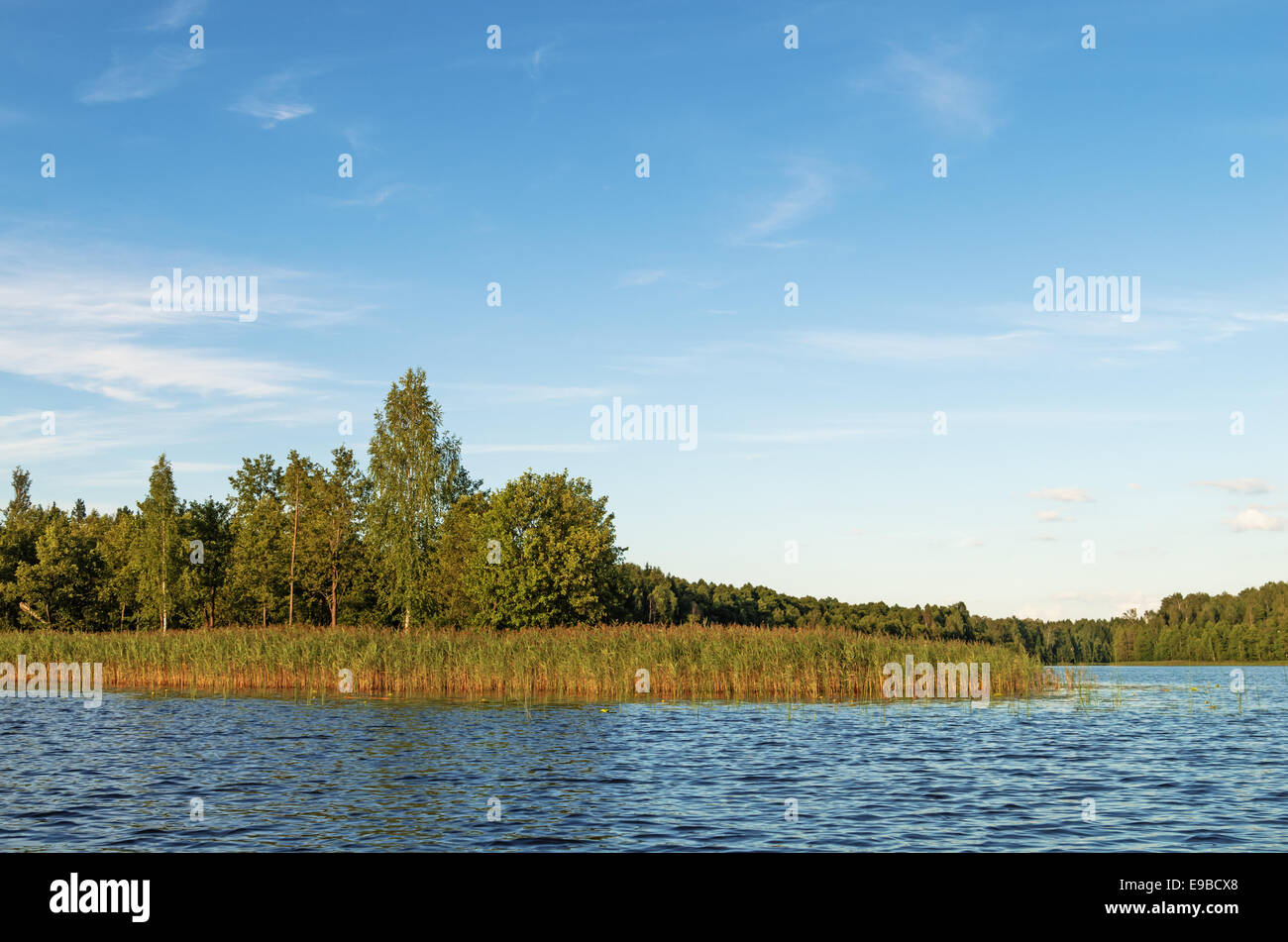 Summer lake landscape. Evening sunny lake Stock Photo - Alamy