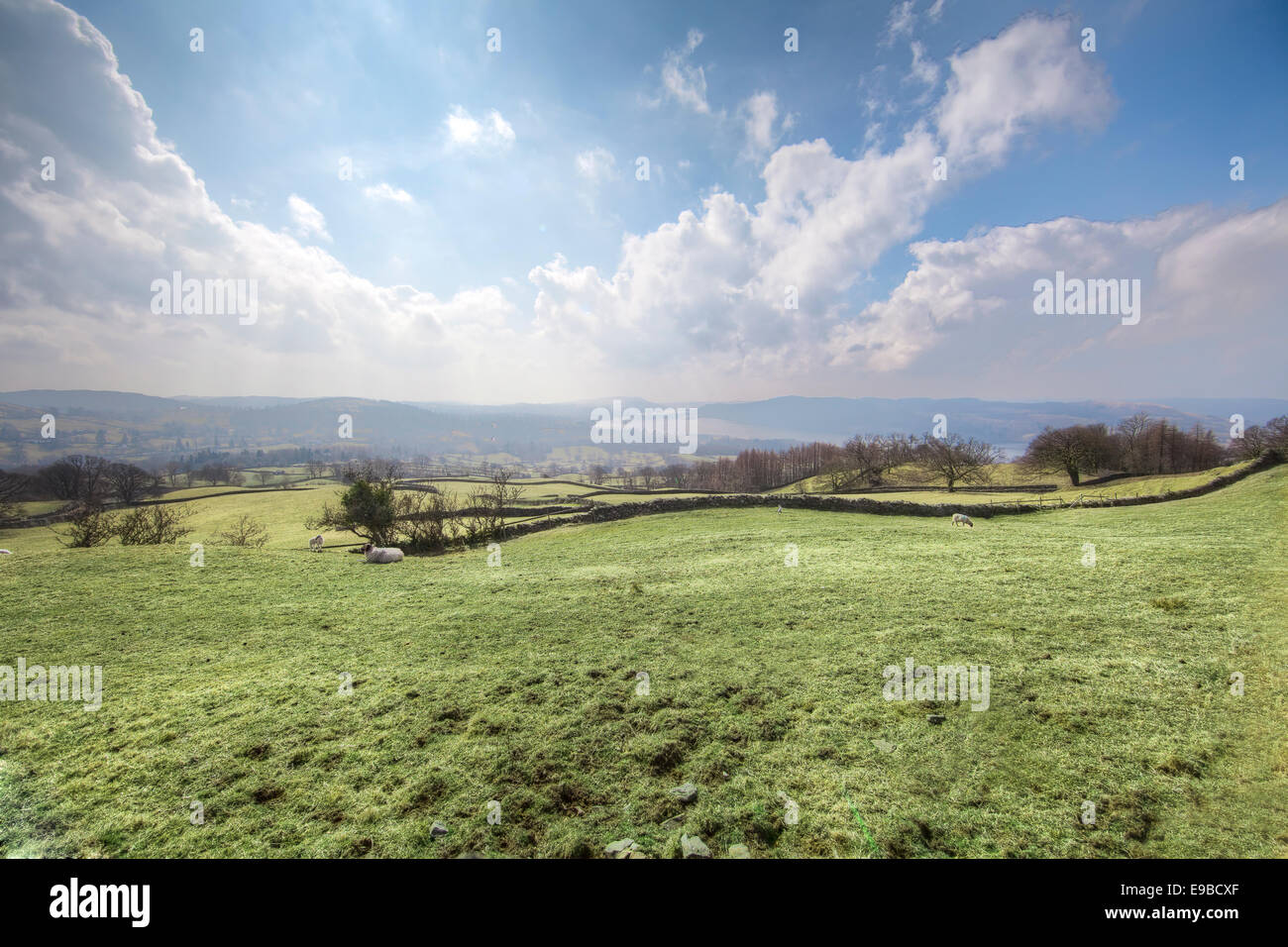 Landscape of field and mountains and lake in background in the Lakes ...