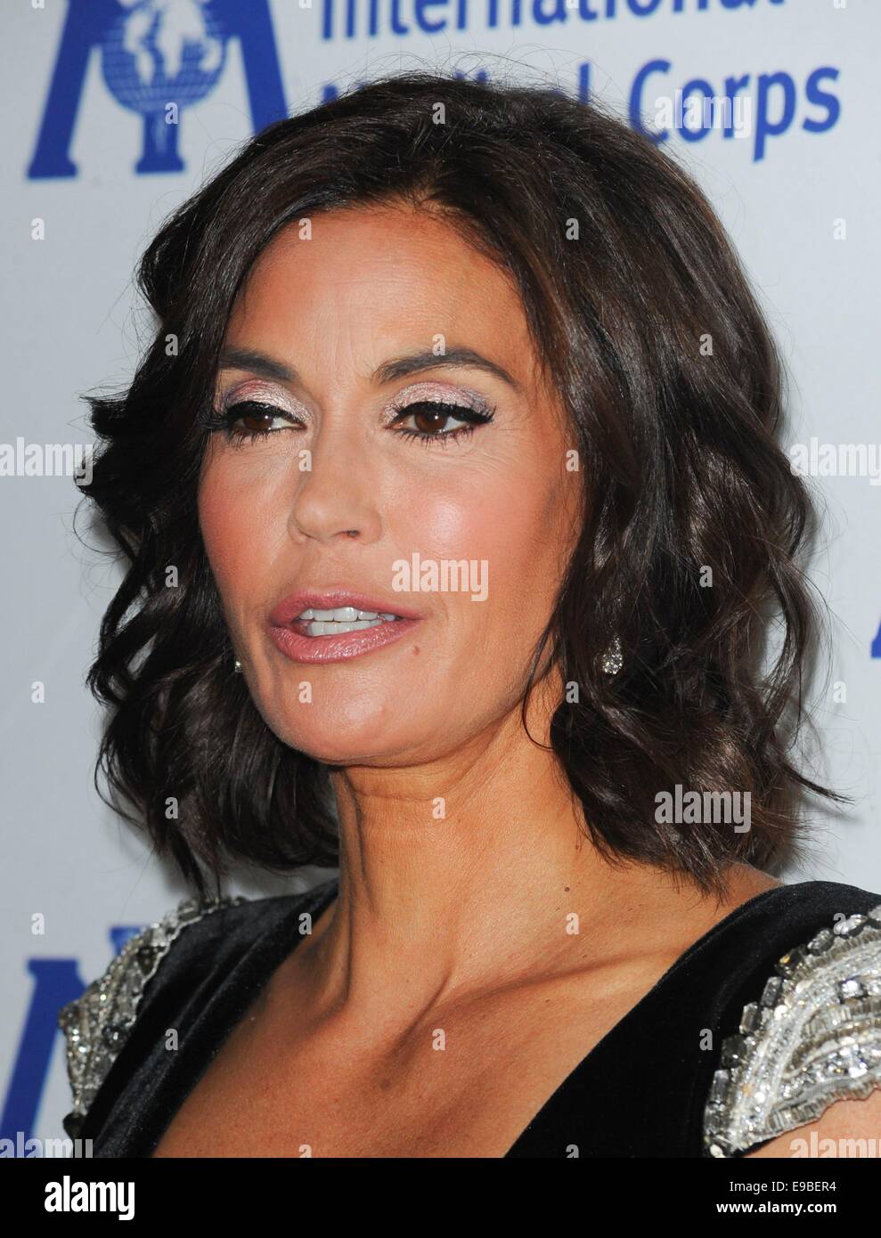 Beverly Hills, CA. 23rd Oct, 2014. Teri Hatcher at arrivals for ...