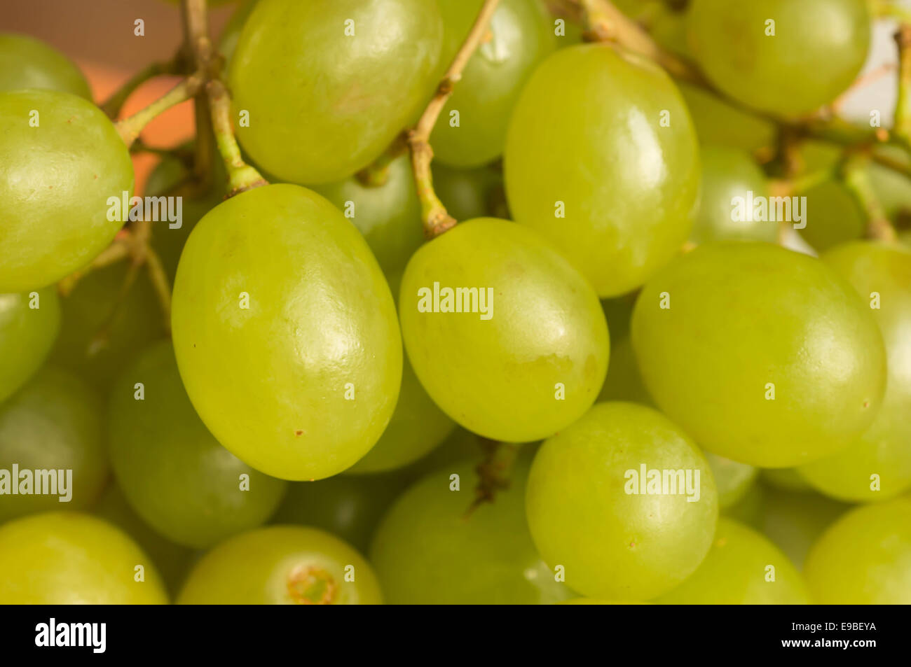 Group close up hi-res stock photography and images - Alamy