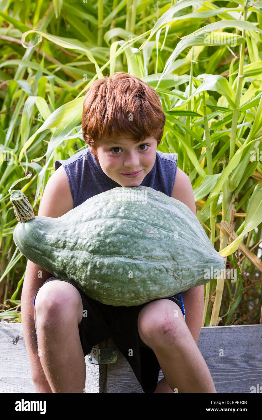 Large gourd hi-res stock photography and images - Alamy
