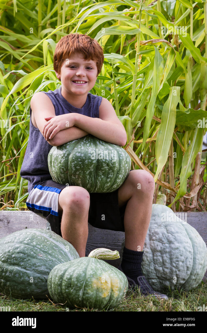 Large gourd hi-res stock photography and images - Alamy