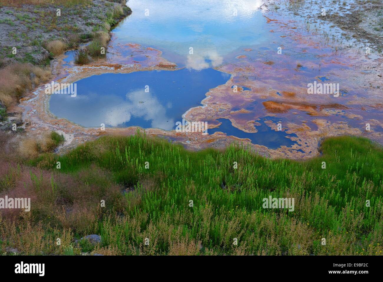 Yellowstone geothermal pools hi-res stock photography and images - Alamy