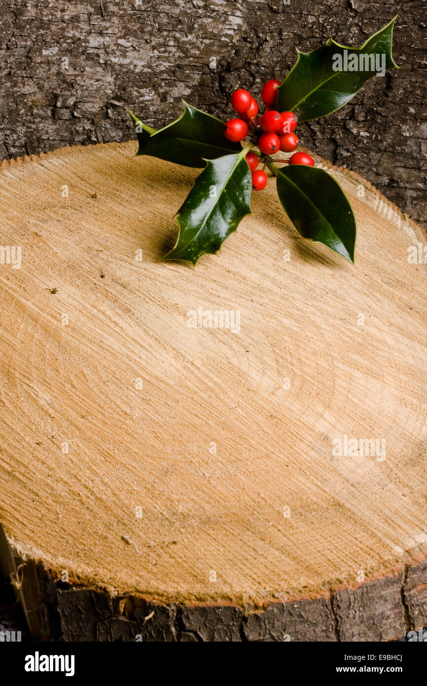 Twig of holly lying on a tree trunk, with plenty of copy space Stock ...
