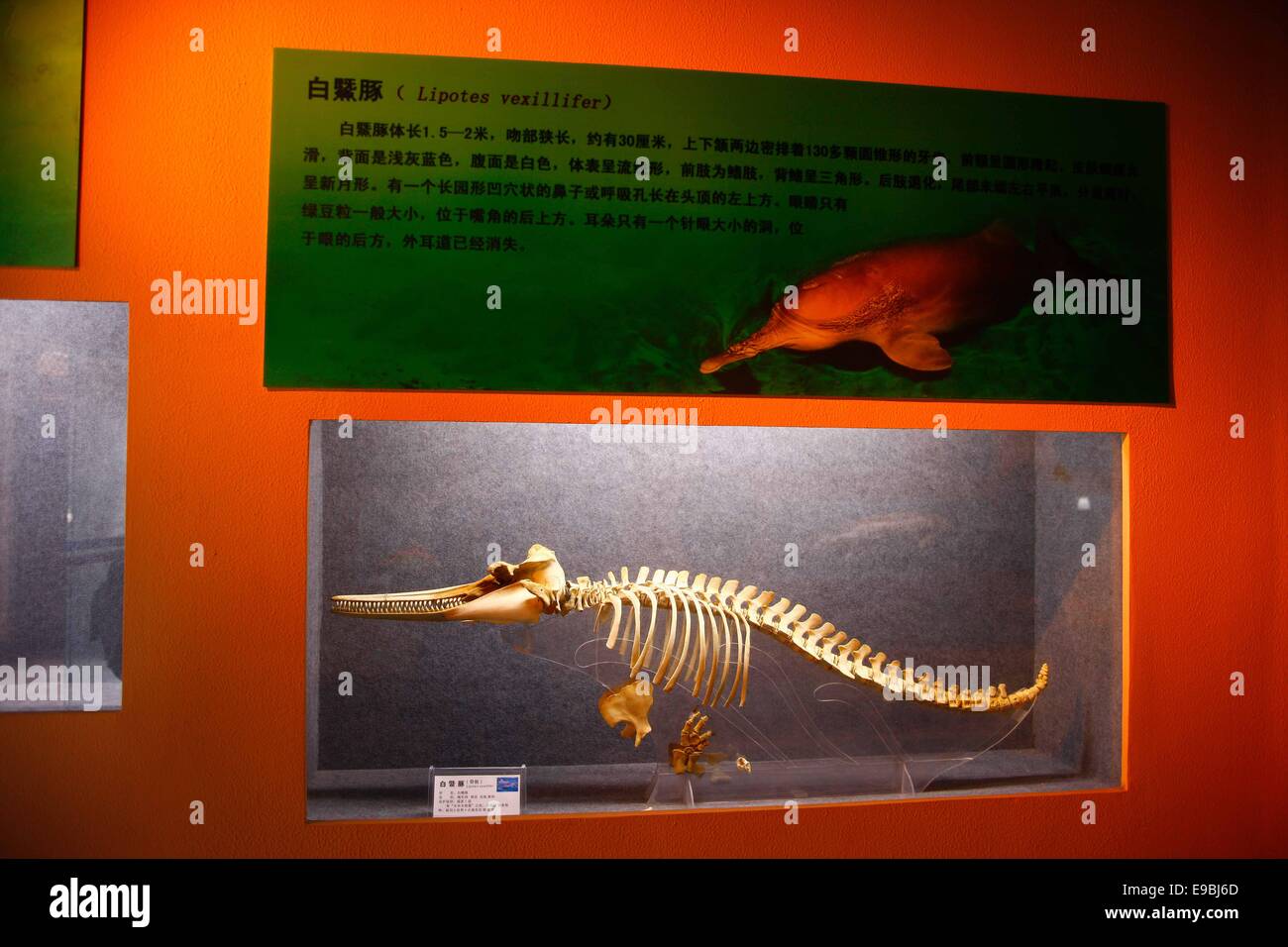 (141024) -- TONGLING, Oct. 24, 2014 (Xinhua) -- Photo taken on Oct. 22 ...