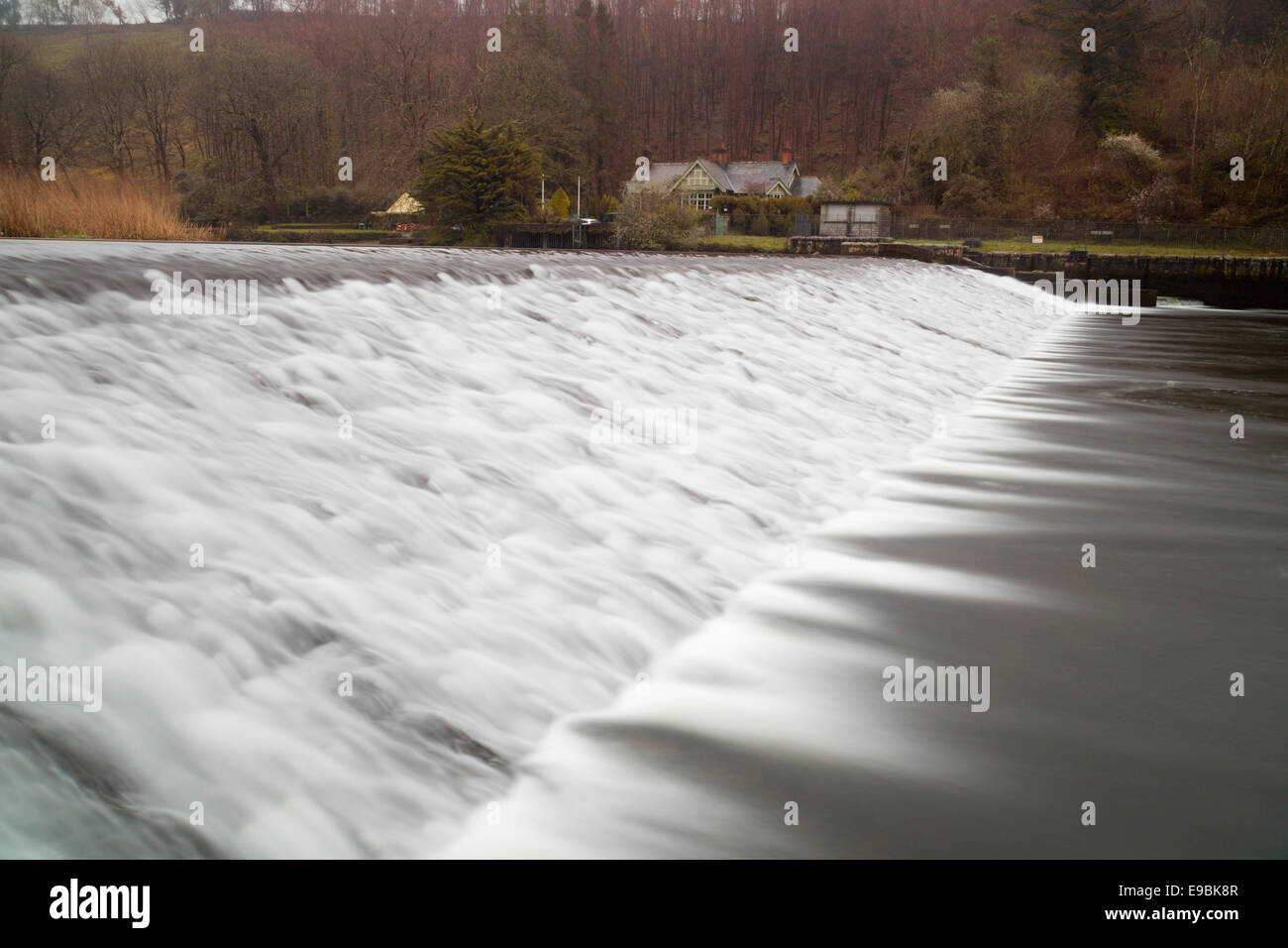 Lopwell High Resolution Stock Photography and Images - Alamy