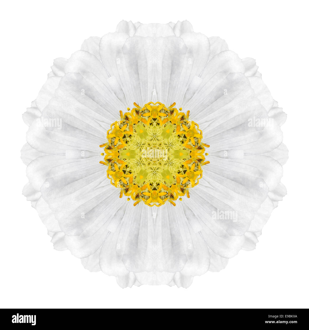 Repeating mirrored pattern Cut Out Stock Images & Pictures - Alamy