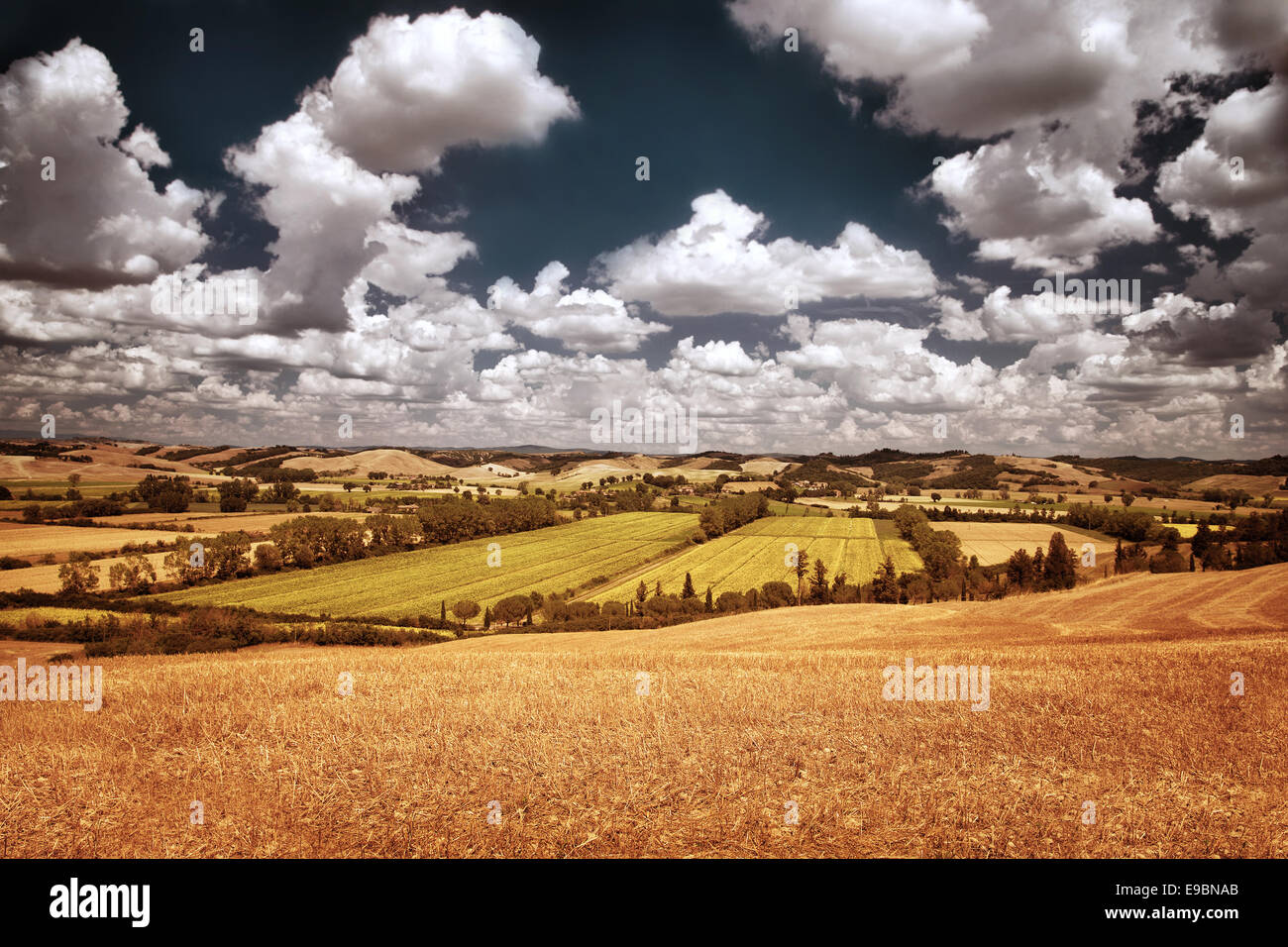 Beautiful autumn landscape, dry golden wheat fields, cloudy sky ...