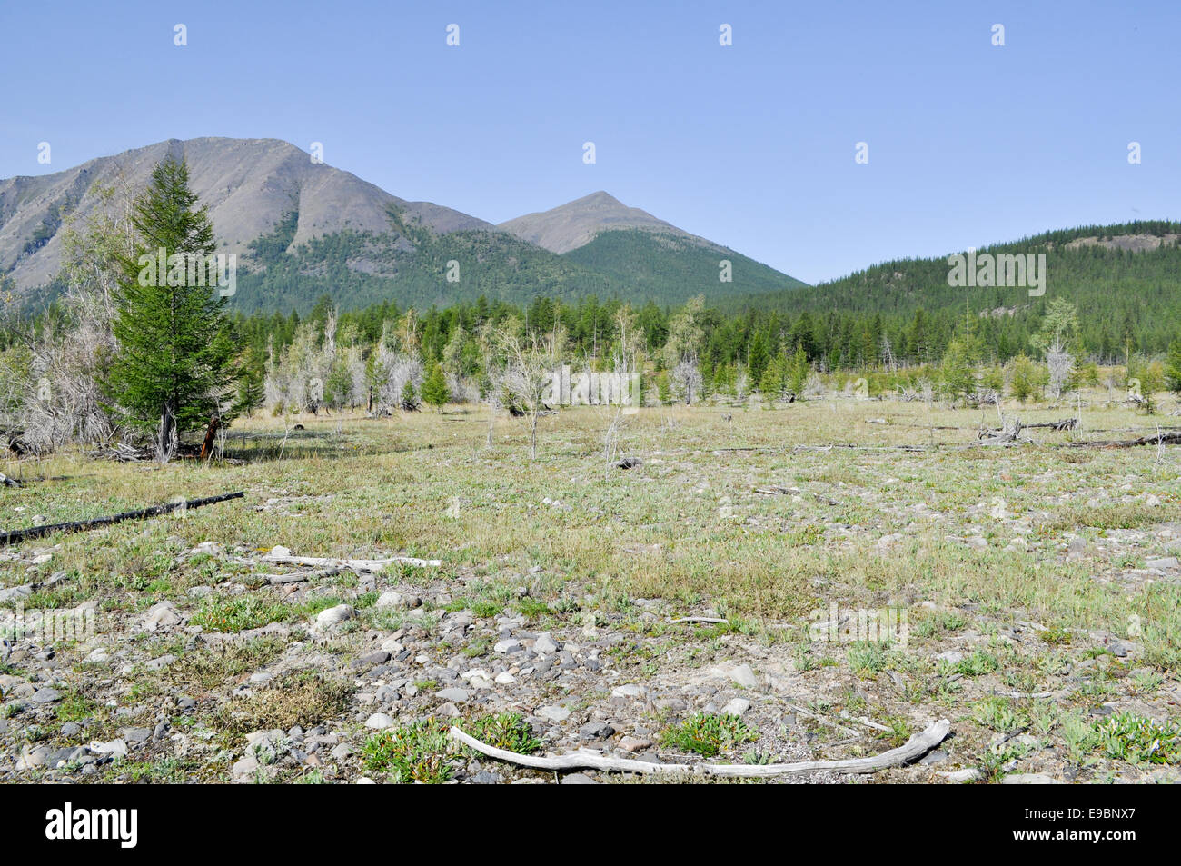 The broad valley between the mountains. Russia, Yakutia, Oymyakon ...