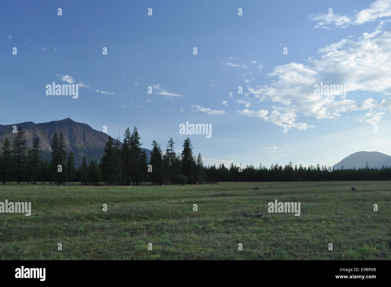 Green meadows in mountain valley of the river Suntar. Russia, Yakutia ...