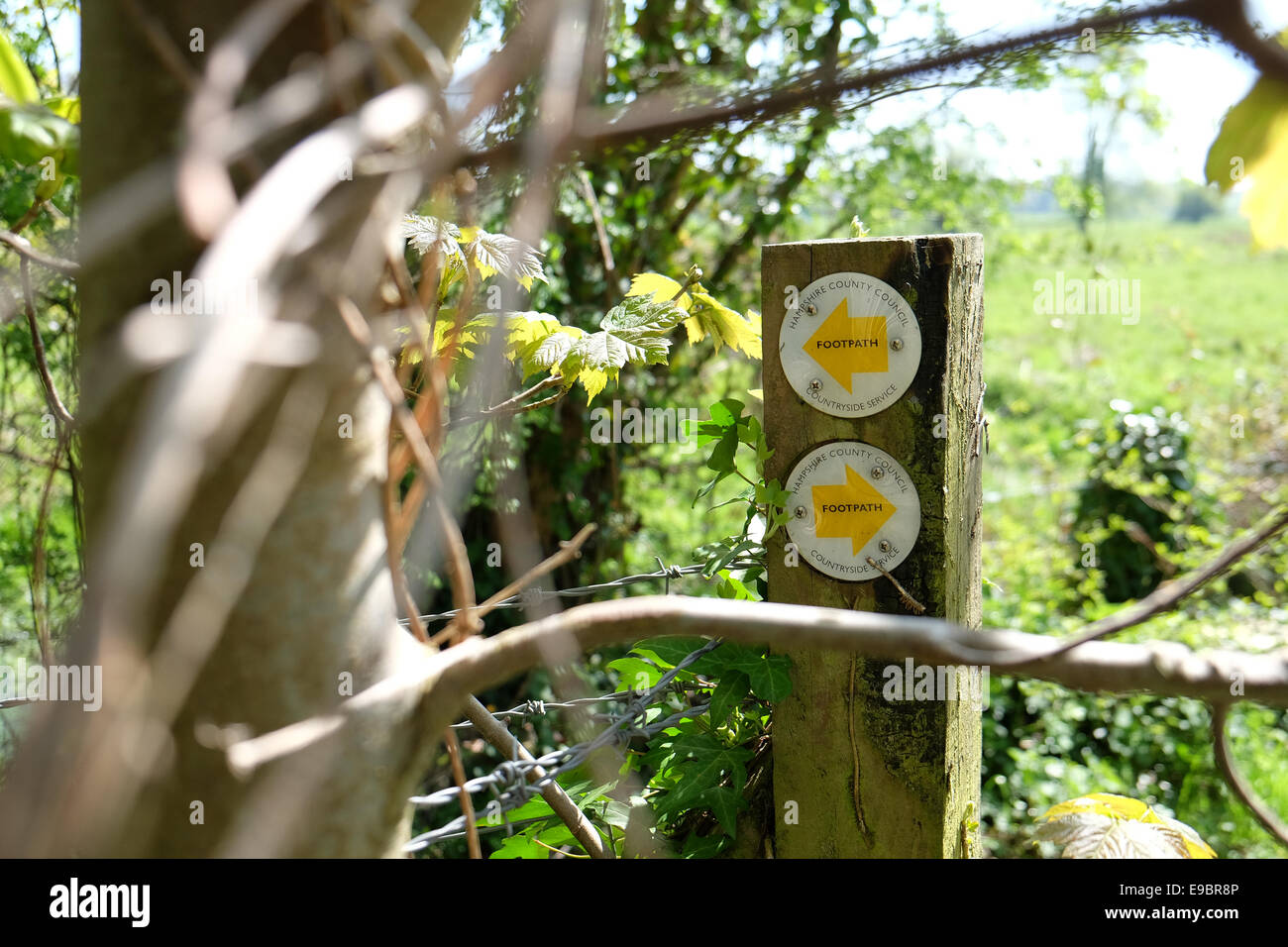 Walking signs hi-res stock photography and images - Alamy