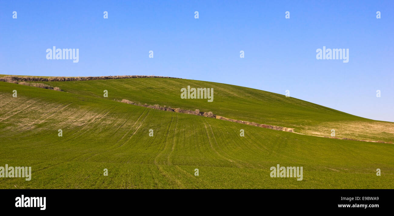 Landscape of a meadow Stock Photo - Alamy
