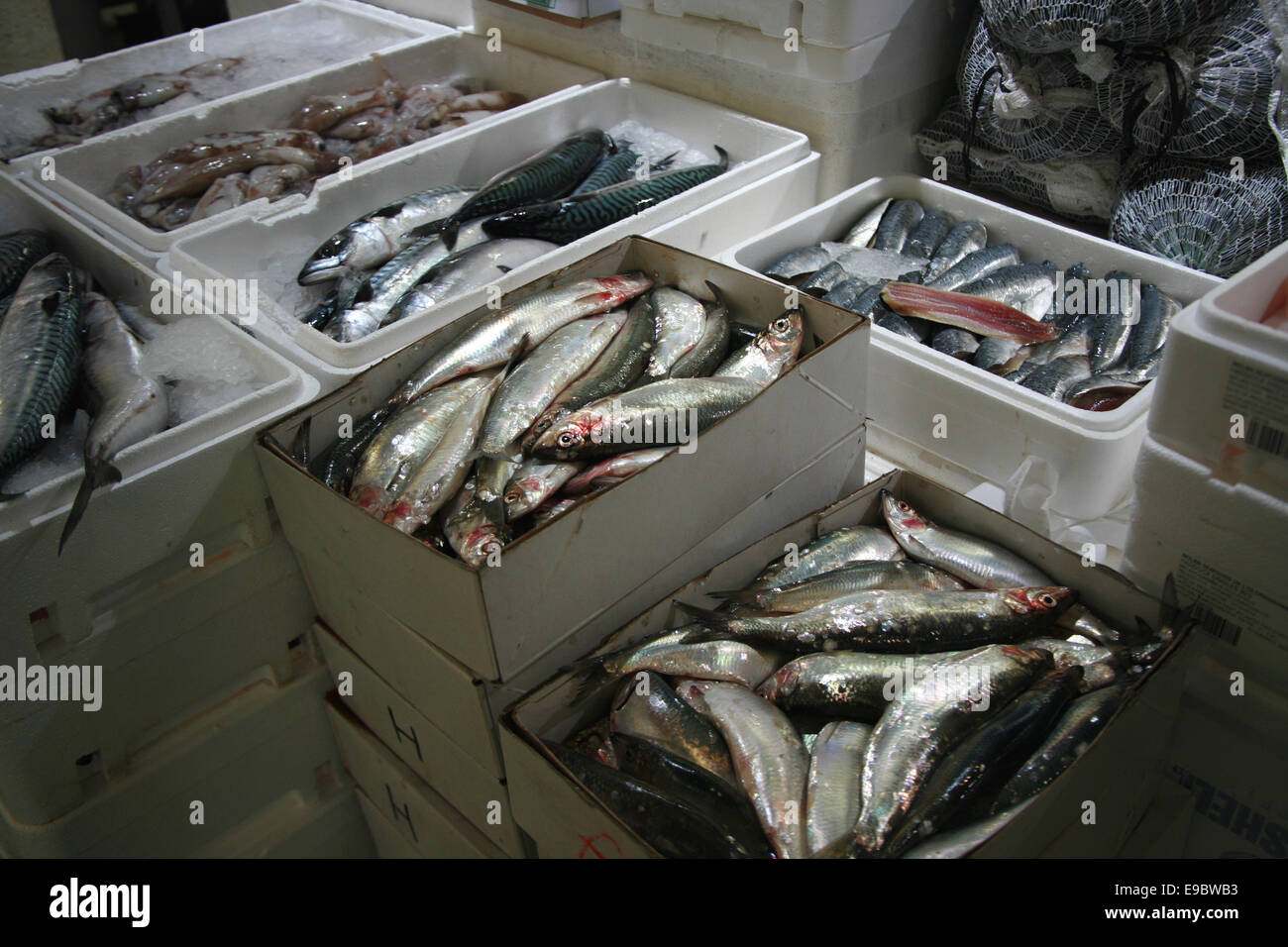 Billingsgate Fish Market Stock Photo - Alamy