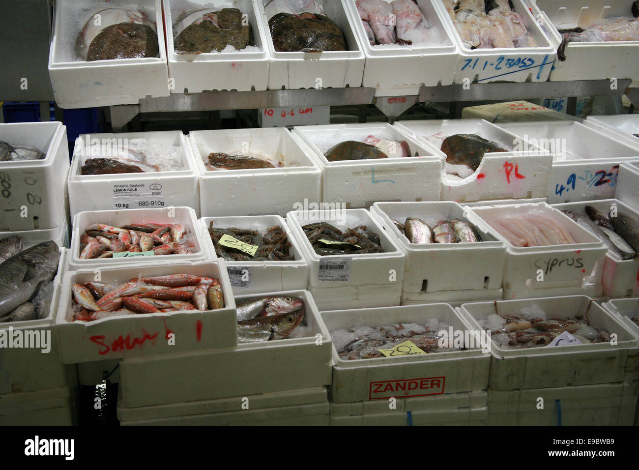 Billingsgate Fish Market Stock Photo - Alamy