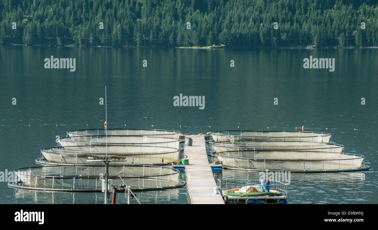Cages for fish farming in lake Stock Photo - Alamy