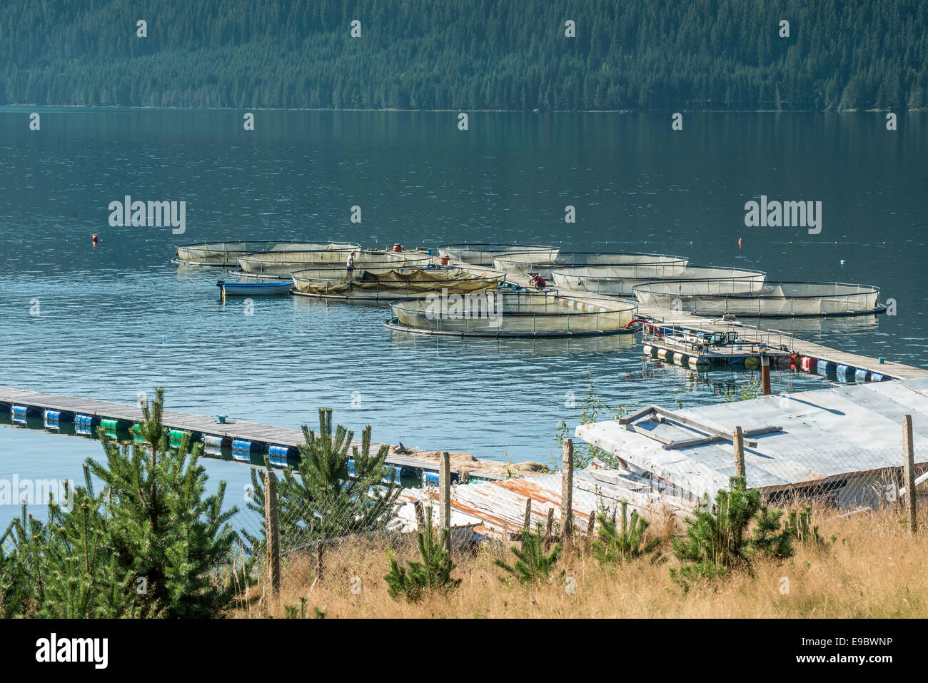 Cages for fish farming in lake Stock Photo - Alamy
