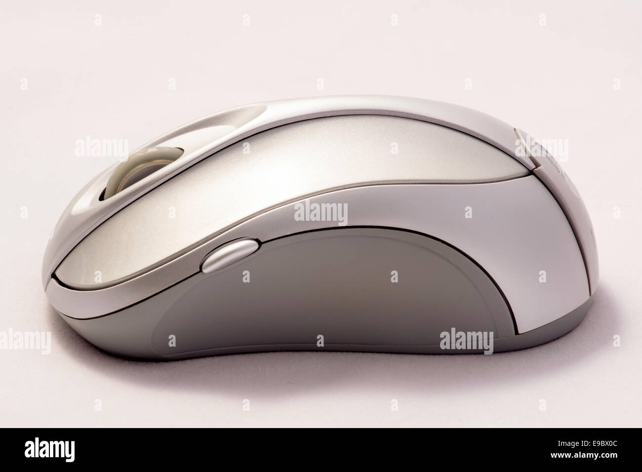 Gray mouse hi-res stock photography and images - Alamy