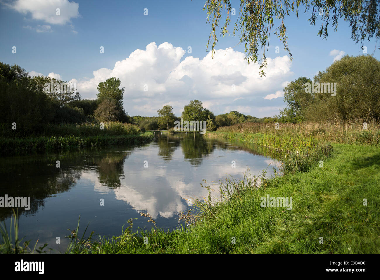 River Test, Hampshire, England Stock Photo - Alamy