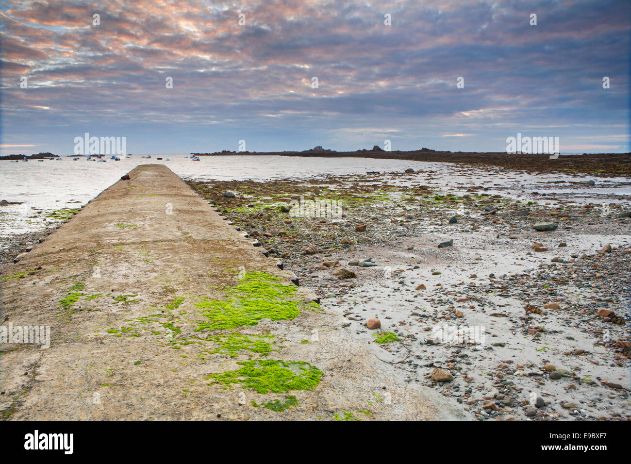 Vazon hi-res stock photography and images - Alamy