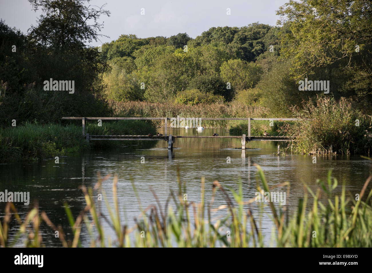 River Test, Hampshire, England Stock Photo - Alamy