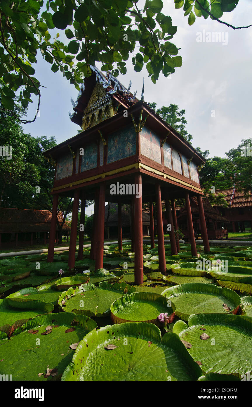 Gold repository hi-res stock photography and images - Alamy