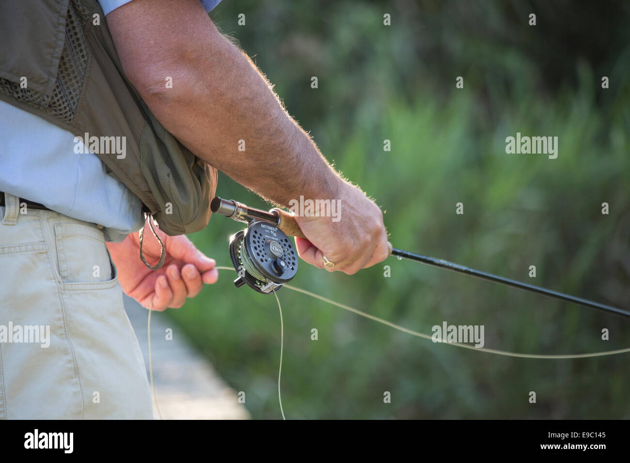 Fly fisherman casting, River Test, Hampshire, England Stock Photo - Alamy
