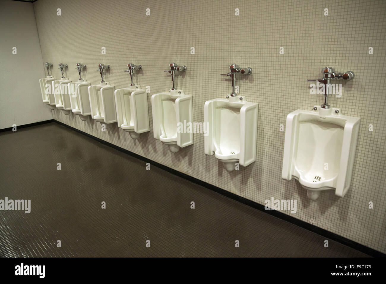 Office in the toilet High Resolution Stock Photography and Images - Alamy