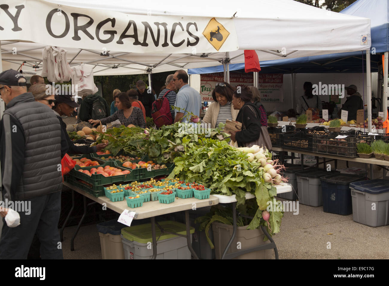 Folks shop for fresh, local, organically grown produce at the farmers ...