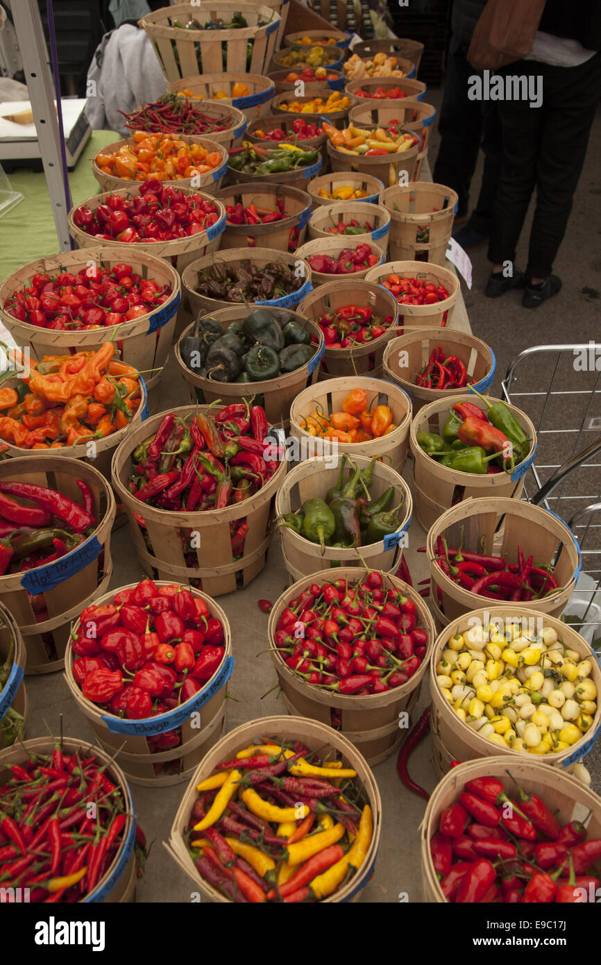 A variety of of spicy & hot peppers for sale at the farmers market at ...