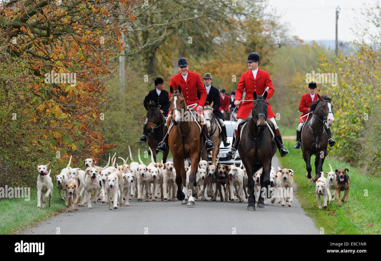The quorn fox hunt hi-res stock photography and images - Alamy