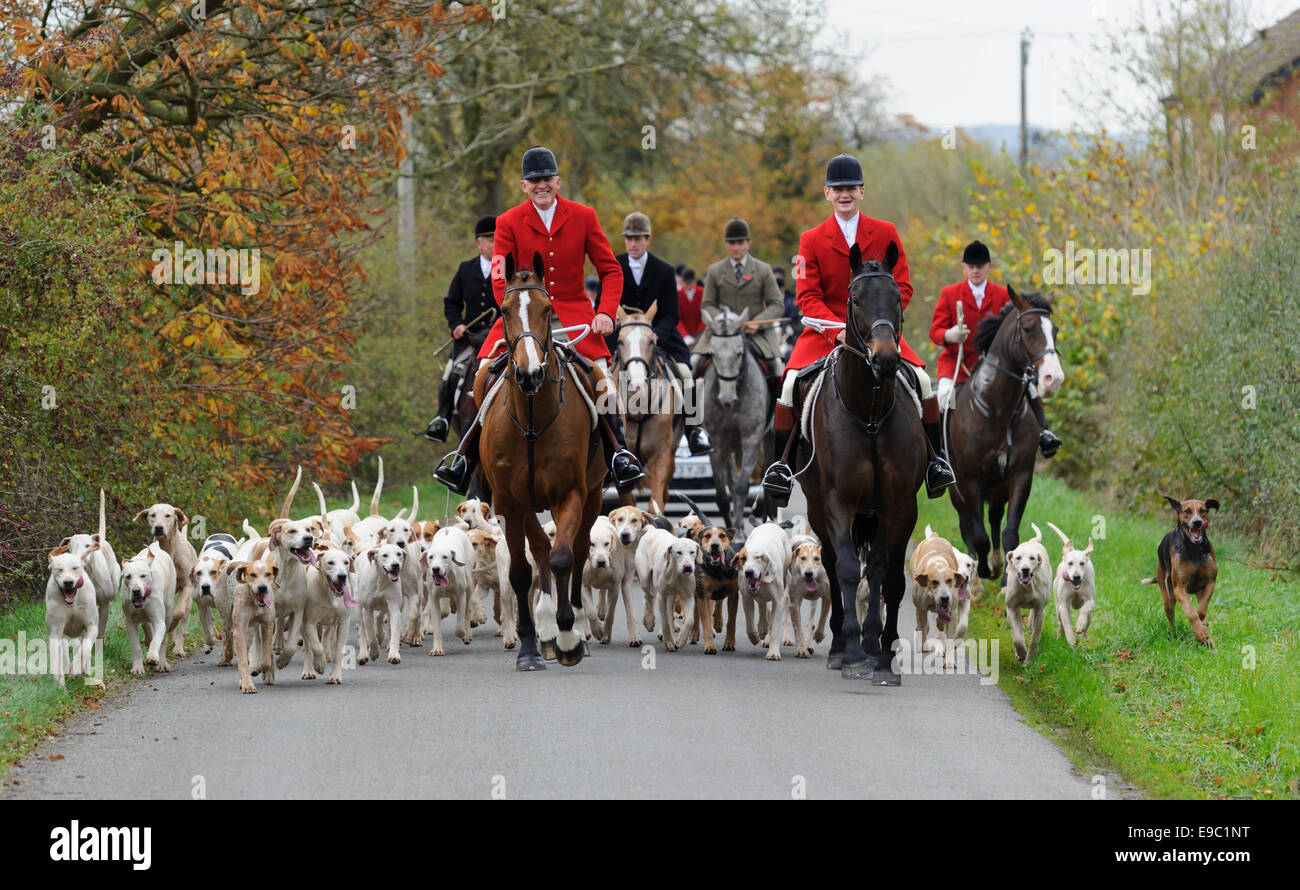Quorn hunt hi-res stock photography and images - Alamy