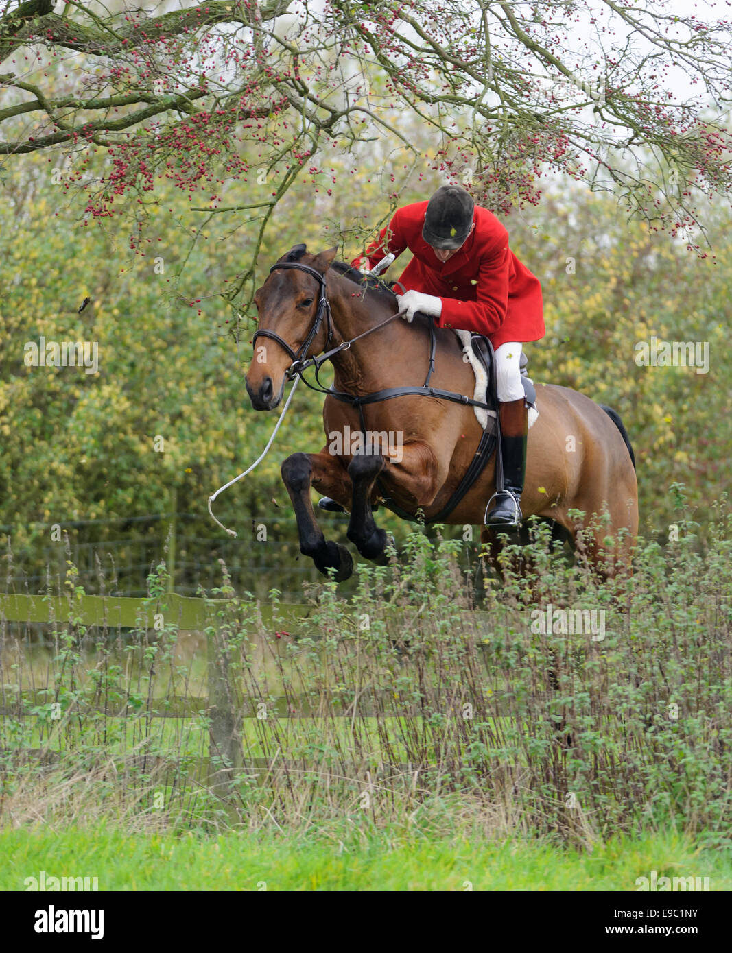 Fox hunt jumping hi-res stock photography and images - Alamy