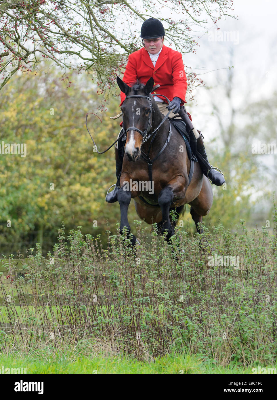 Hunting Horse Jumping High Resolution Stock Photography and Images - Alamy
